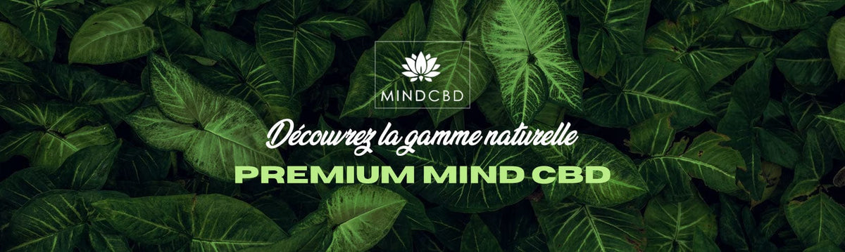 CBD Certified | CBD Shop Français | Achat Cannabis Légal